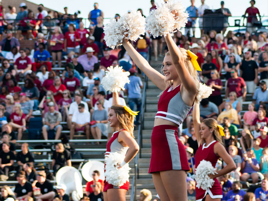 School Spirit & Security - The ISG